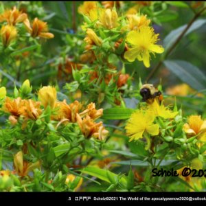 keepers | DPReview Forums