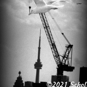 keepers | DPReview Forums