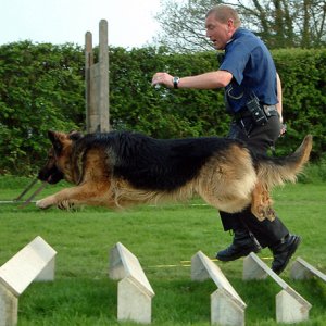 murphy | DPReview Forums