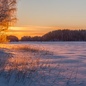 auringonnousu | DPReview Forums