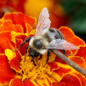 s5diopter | DPReview Forums