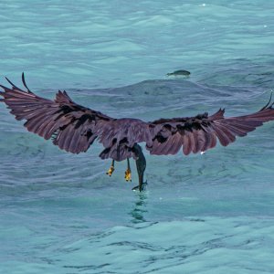 M3071873_50_80 | DPReview Forums