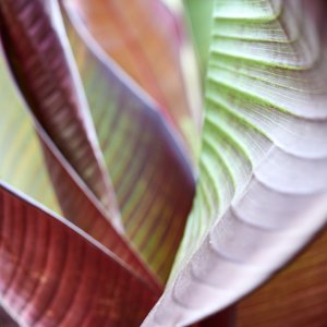 baden-wuerttemberg | DPReview Forums