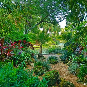 hdr-2 | DPReview Forums