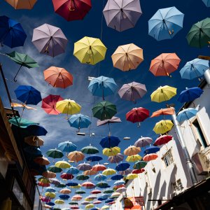 lv-1264 | DPReview Forums