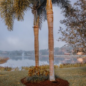 9205-clearhill-road | DPReview Forums