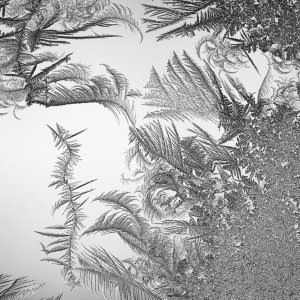 window frost 3 BW | DPReview Forums