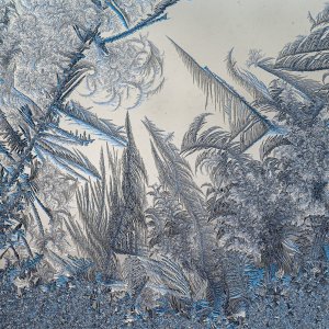 window frost 3 BW | DPReview Forums