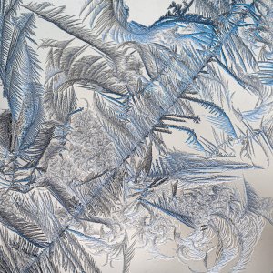 window frost 3 BW | DPReview Forums