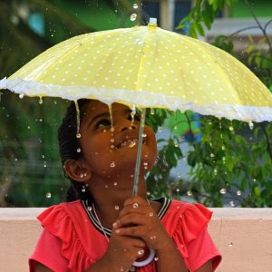 umberella diya1 | DPReview Forums