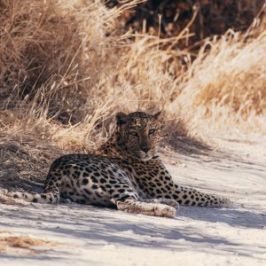 MPX_2865 | DPReview Forums