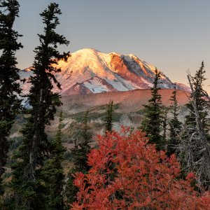 steamboat-prow | DPReview Forums