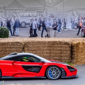 FOS (10 of 21) | DPReview Forums