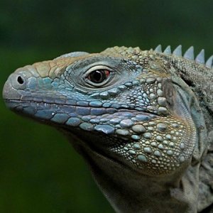 5F23869BF2AF41EF9DC5D2514489BD7A | DPReview Forums