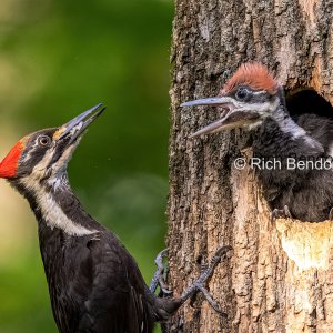 island-beach-state-park | DPReview Forums