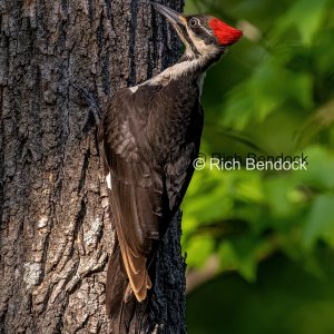 island-beach-state-park | DPReview Forums