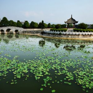 select-d | DPReview Forums