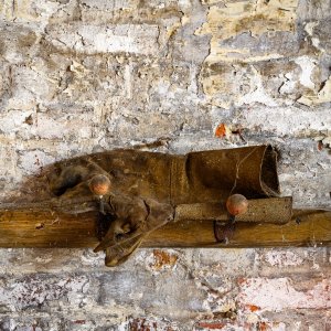 GBS-BaasRode Scheepvaartmuseum-20220718-0100-HDR | DPReview Forums