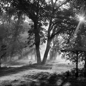 58mm | DPReview Forums