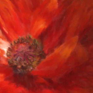 red-flowers | DPReview Forums