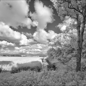 Set04Balancer3from_IRGP4841-Tammy-12-24-ISO100-dt-BW_filtered-2022-web | DPReview Forums