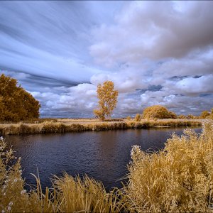 Set04Balancer3from_IRGP4841-Tammy-12-24-ISO100-dt-BW_filtered-2022-web | DPReview Forums