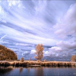 Set04Balancer3from_IRGP4841-Tammy-12-24-ISO100-dt-BW_filtered-2022-web | DPReview Forums