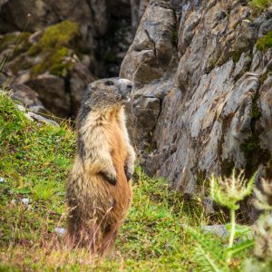 _8210100 | DPReview Forums