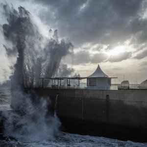 madeira | DPReview Forums