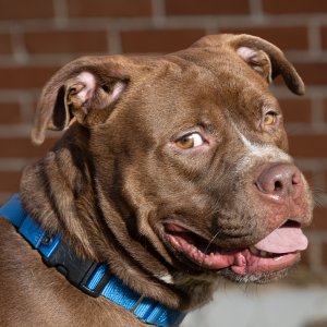 lv-1264 | DPReview Forums