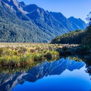 NWZ_4549 DS2002 AURORA HDR_2023 | DPReview Forums