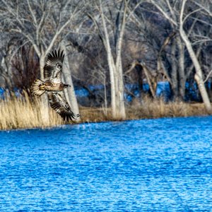 NWZ_4549 DS2002 AURORA HDR_2023 | DPReview Forums