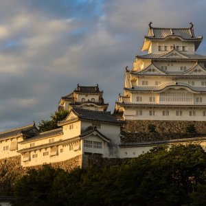 shirasagijo | DPReview Forums