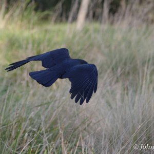 K3_30278_v1 | DPReview Forums