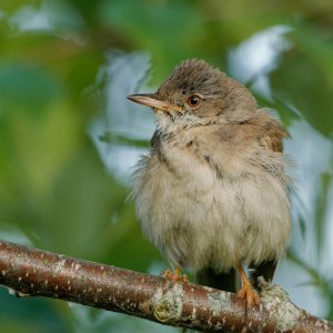 P4270161_DxO-1 | DPReview Forums