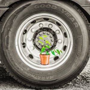 Auto fun, extreme, sport, adrenaline, pleasure, hobby, love, spe | DPReview Forums