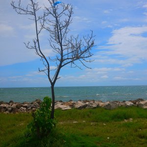 picture-of-the-day | DPReview Forums