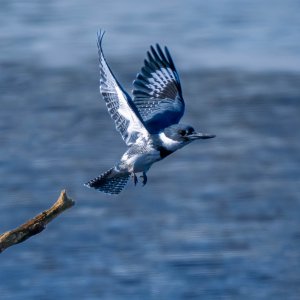 st-marks-nwr | DPReview Forums