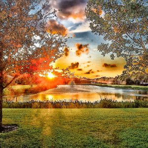 9205-clearhill-road | DPReview Forums