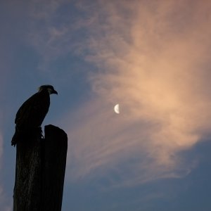 on1calendar | DPReview Forums