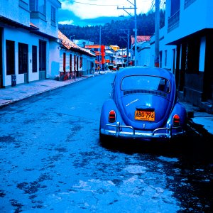 picture-of-the-day | DPReview Forums