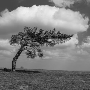 worcestershire | DPReview Forums