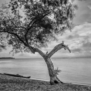 Skinny Dipping | DPReview Forums