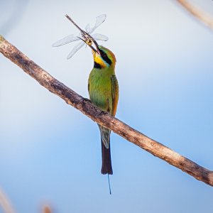 stirling | DPReview Forums