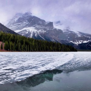 L1020758 | DPReview Forums