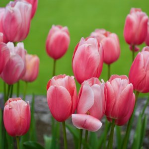 L1020882 | DPReview Forums