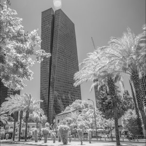 FMGP9734-Tel-Aviv-ISO200-F5.6-39mm-dt_v1-2024-web | DPReview Forums
