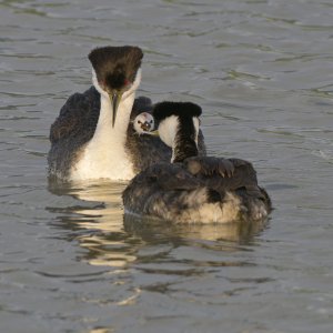 bear-river | DPReview Forums