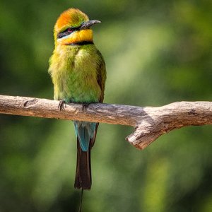 stirling | DPReview Forums