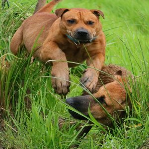 Special Effects2 | DPReview Forums